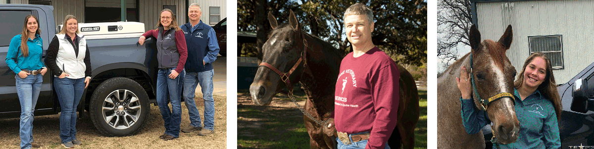 Equine Veterinary Services - Breeding Farm