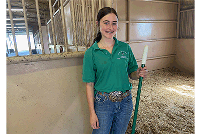 Equine Veterinary Services - About Us