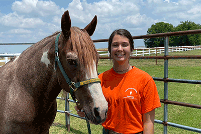 Equine Veterinary Services - About Us